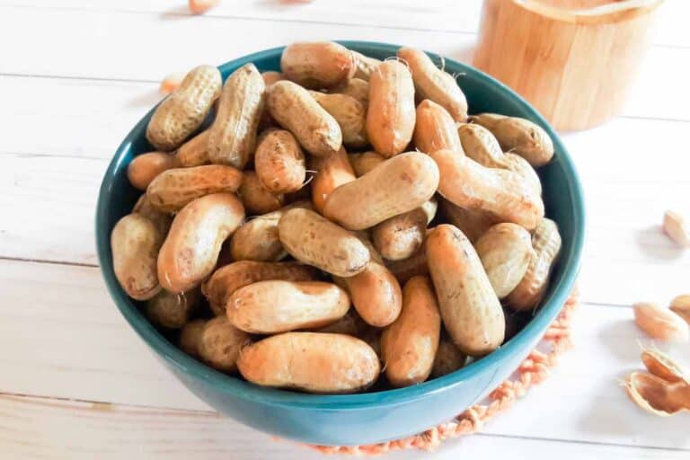 Instant Pot Boiled Peanuts - Profusion Curry