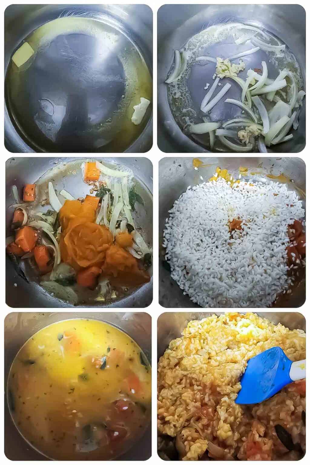 Pumpkin Risotto - Profusion Curry