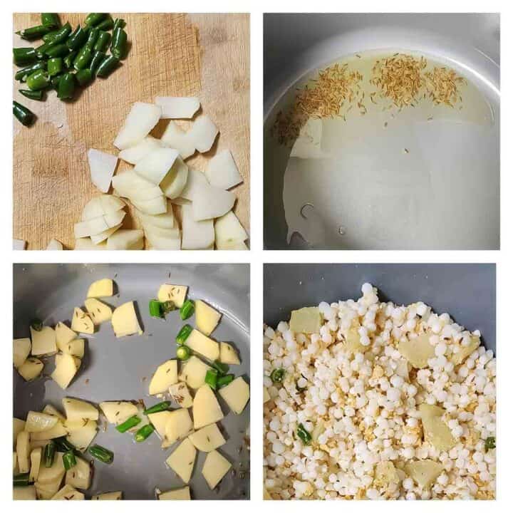 Sabudana Khichdi - Profusion Curry